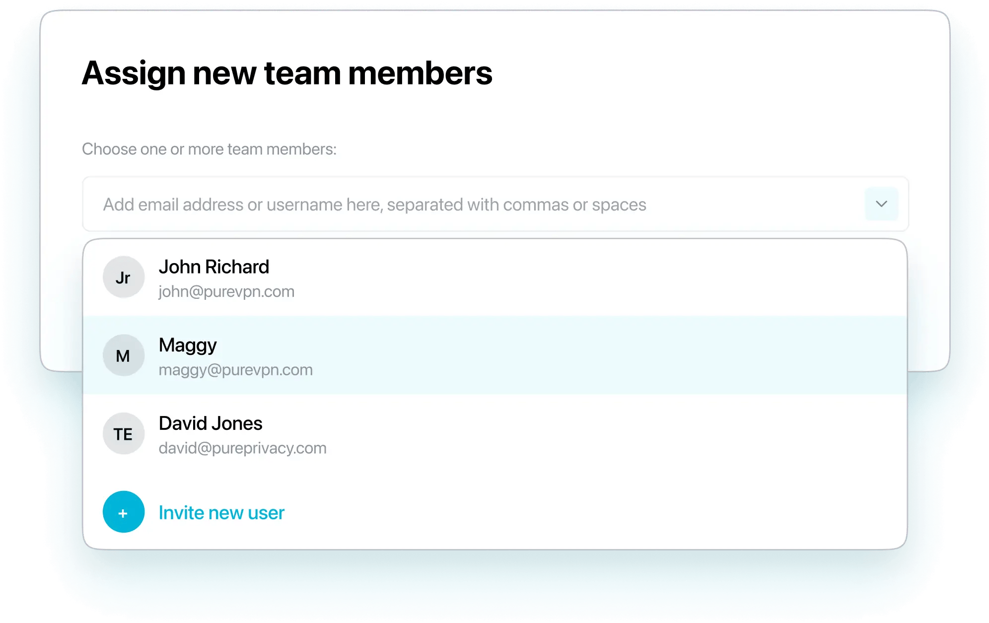 Best Dedicated & Team IP VPN For Remote Workers | PureDome